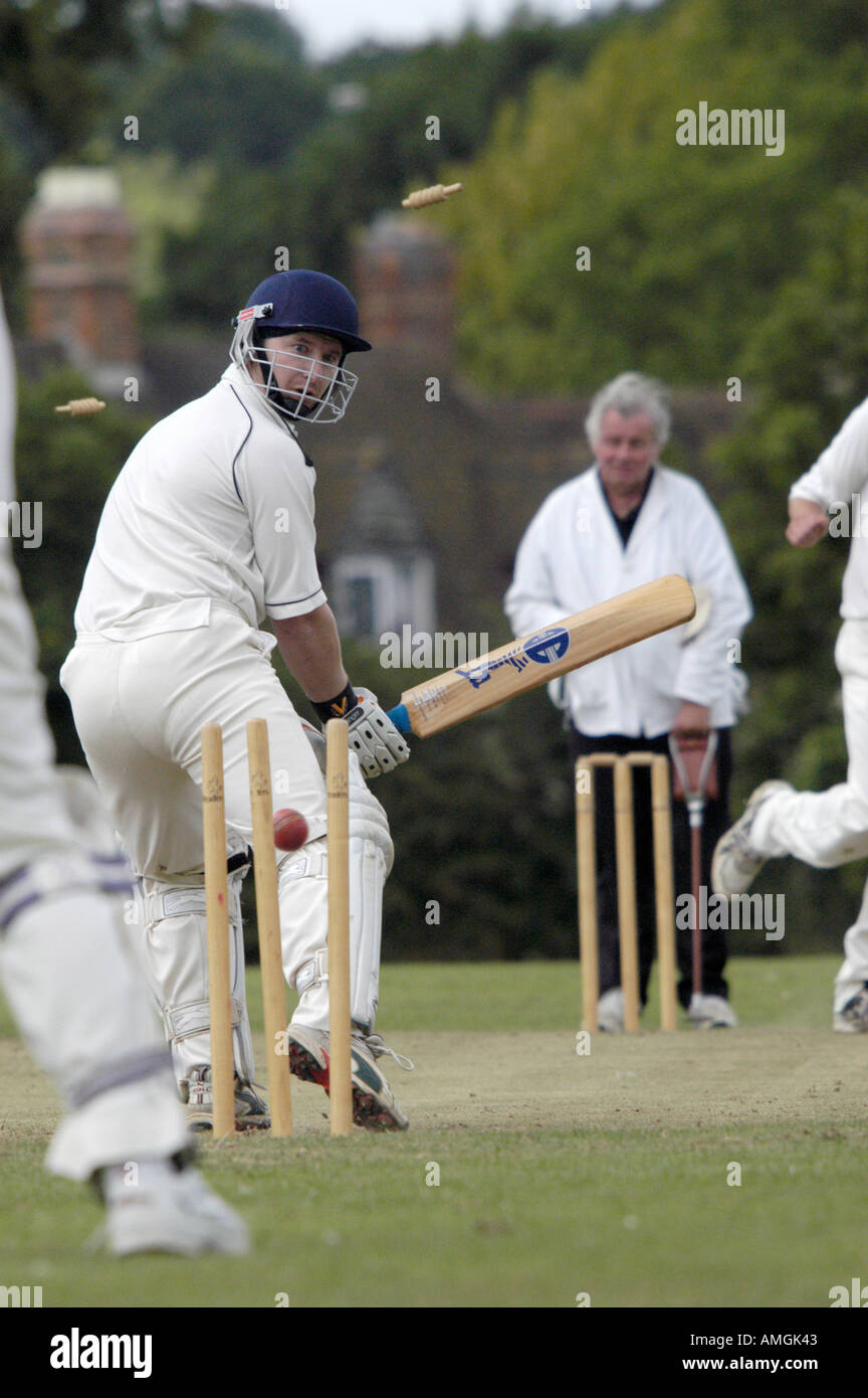 Flying stumps hi-res stock photography and images - Alamy