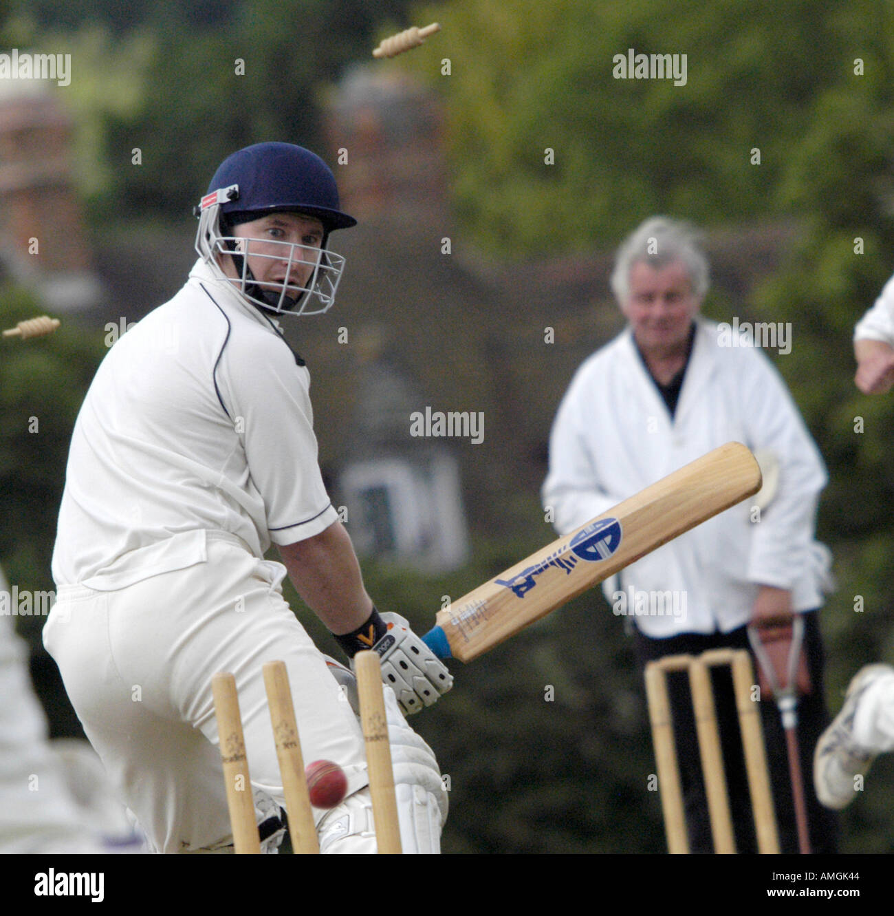 Bails flying he is out Stock Photo - Alamy