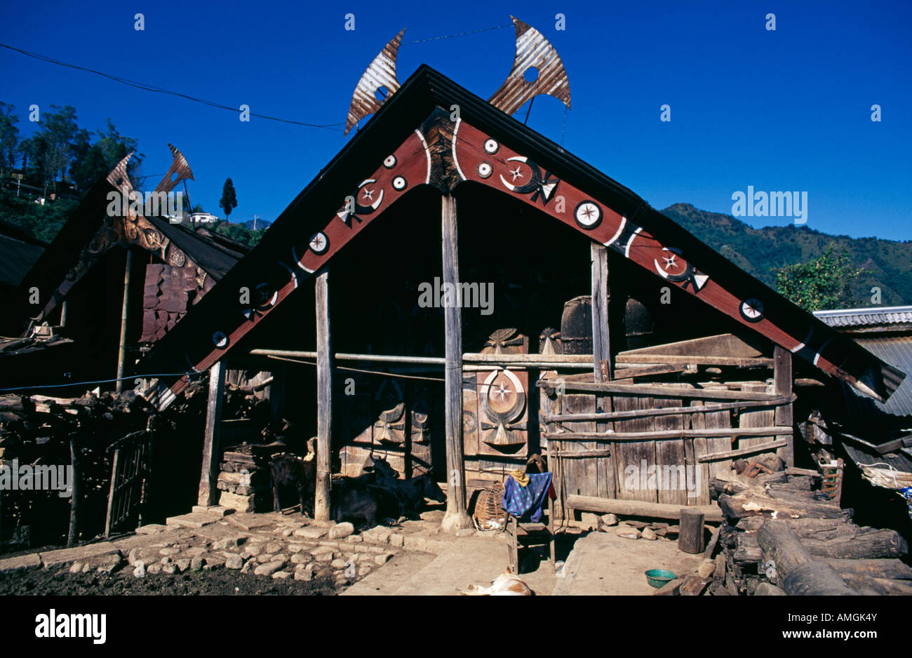 Angami hi-res stock photography and images - Alamy