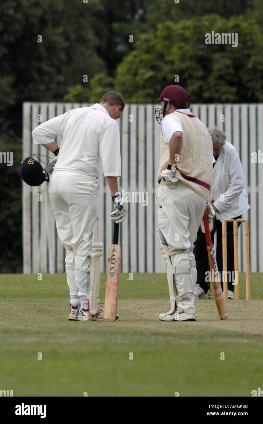 Cricket strategy hi-res stock photography and images - Alamy