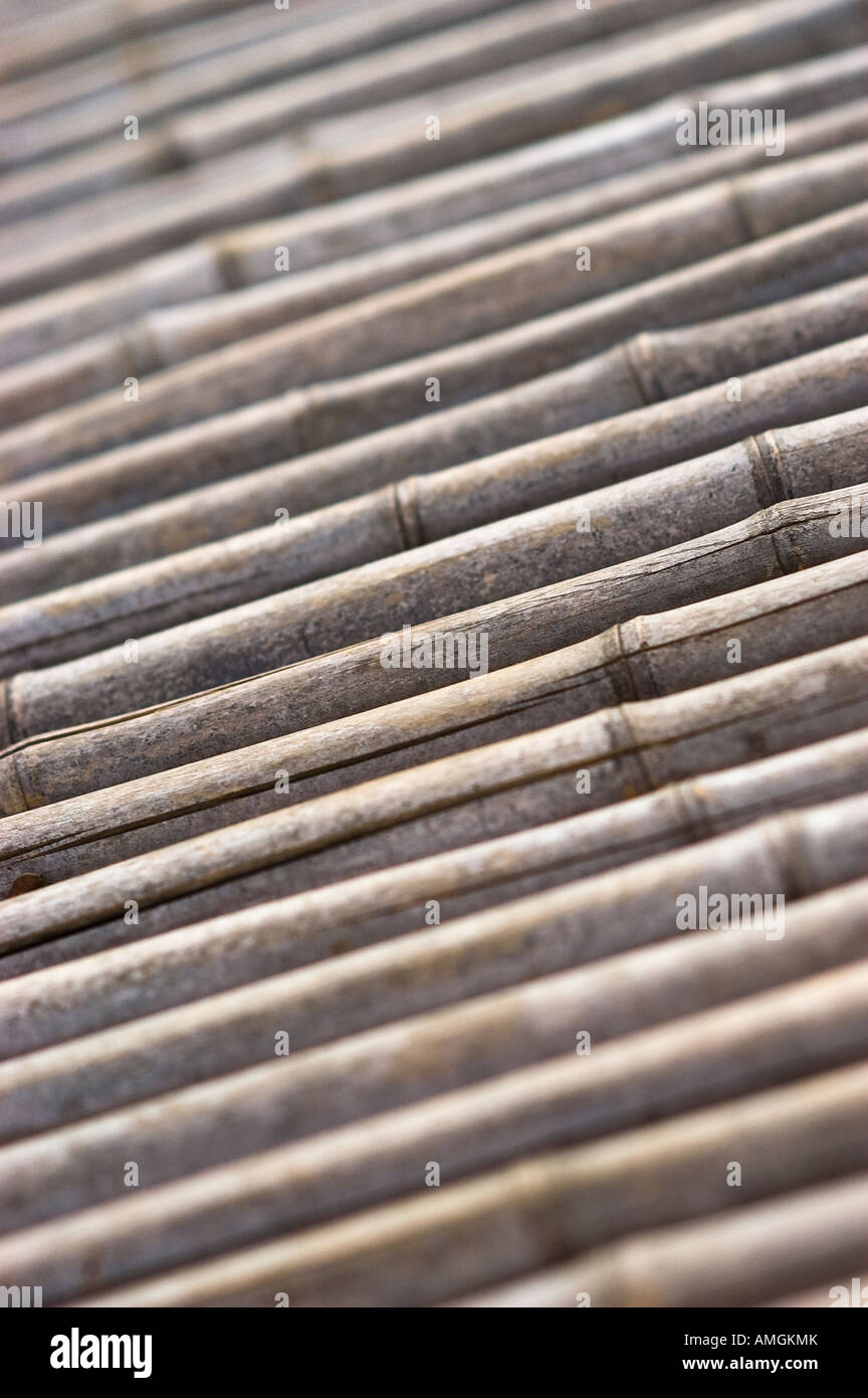 Reed lines hi-res stock photography and images - Alamy