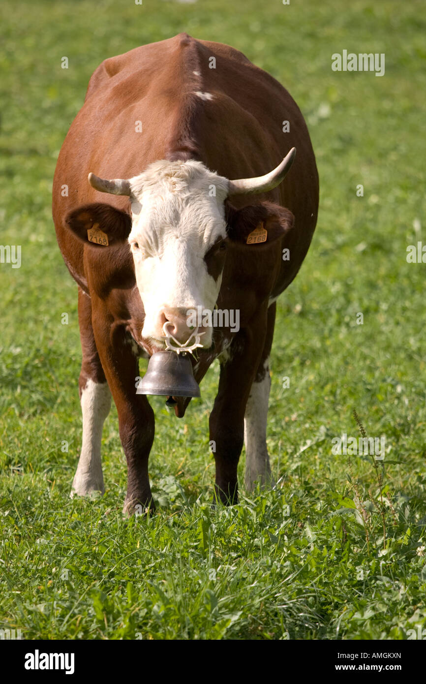 Abondance hi-res stock photography and images - Alamy