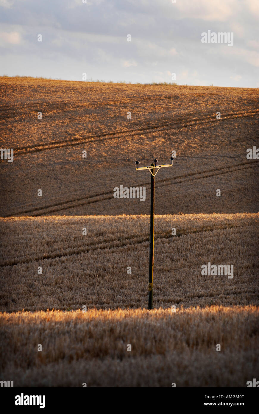 pic martin phelps 16 08 07 harvest pictures Stock Photo - Alamy