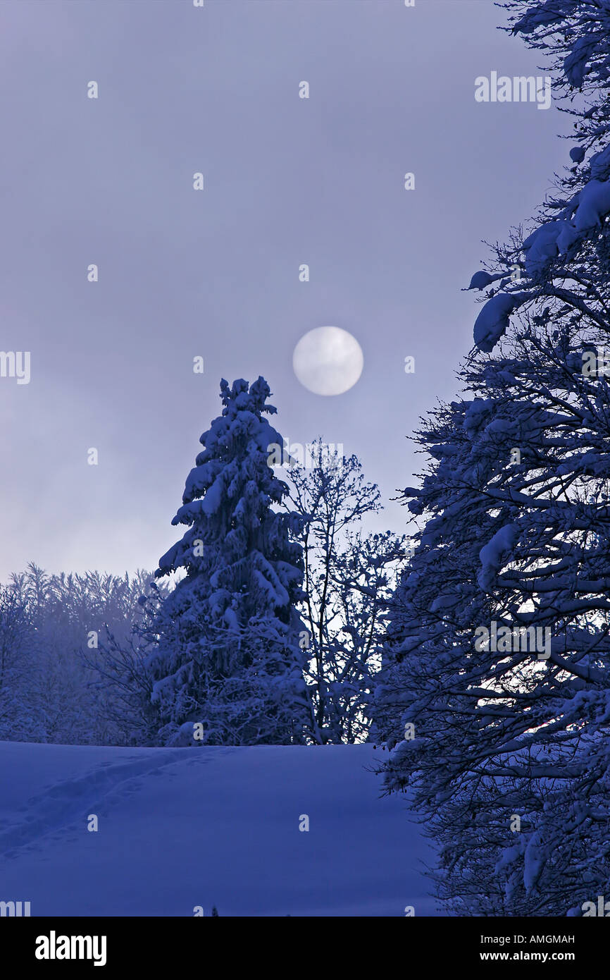 landscape of snow with moon Stock Photo - Alamy
