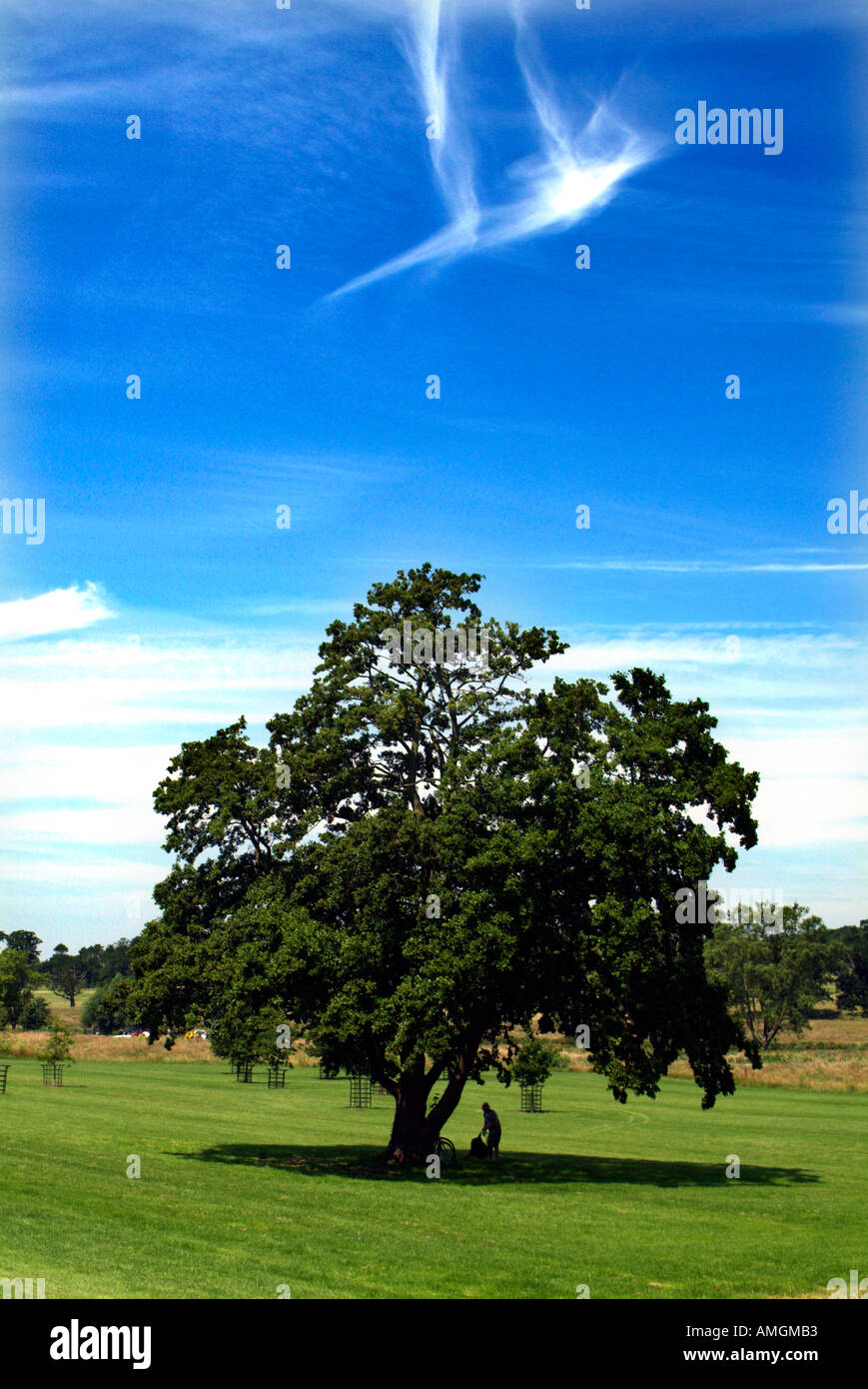 Underneath the tree hi-res stock photography and images - Alamy