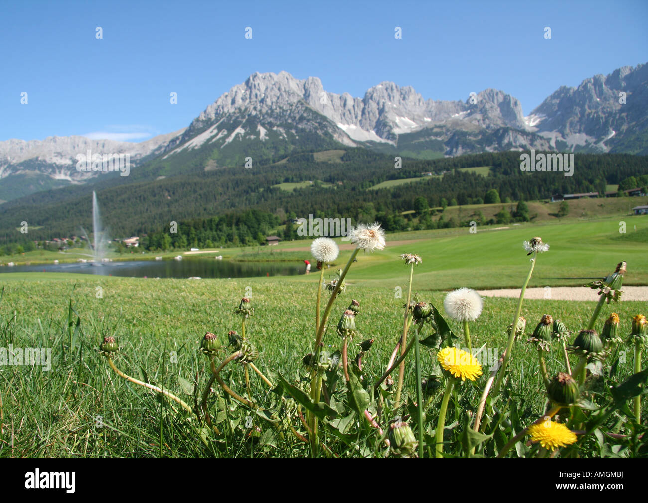 Golf Course in the Austrian Alps Stock Photo - Alamy