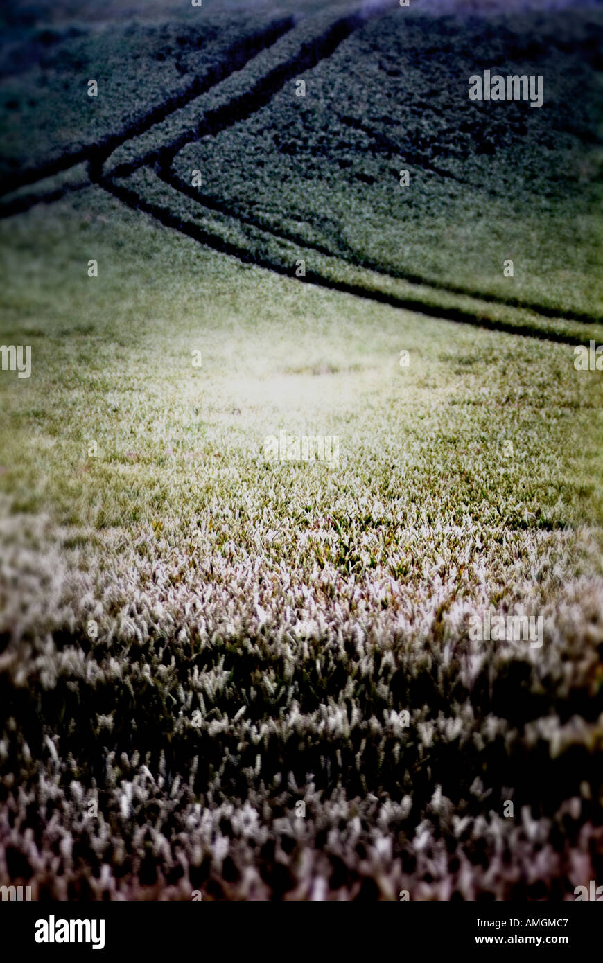 tractor tracks in field Stock Photo - Alamy