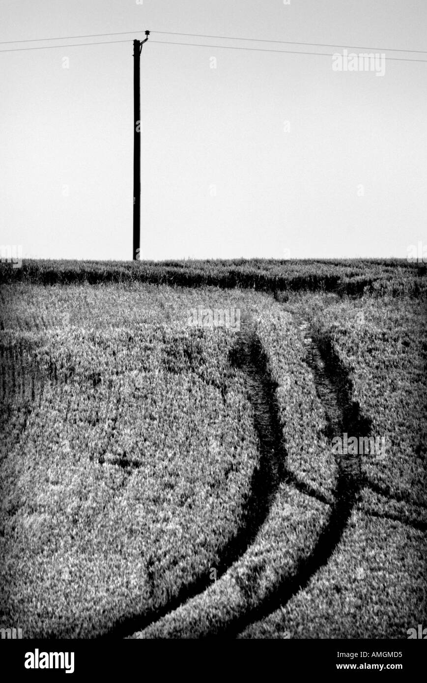 White tractor tracks hi-res stock photography and images - Alamy