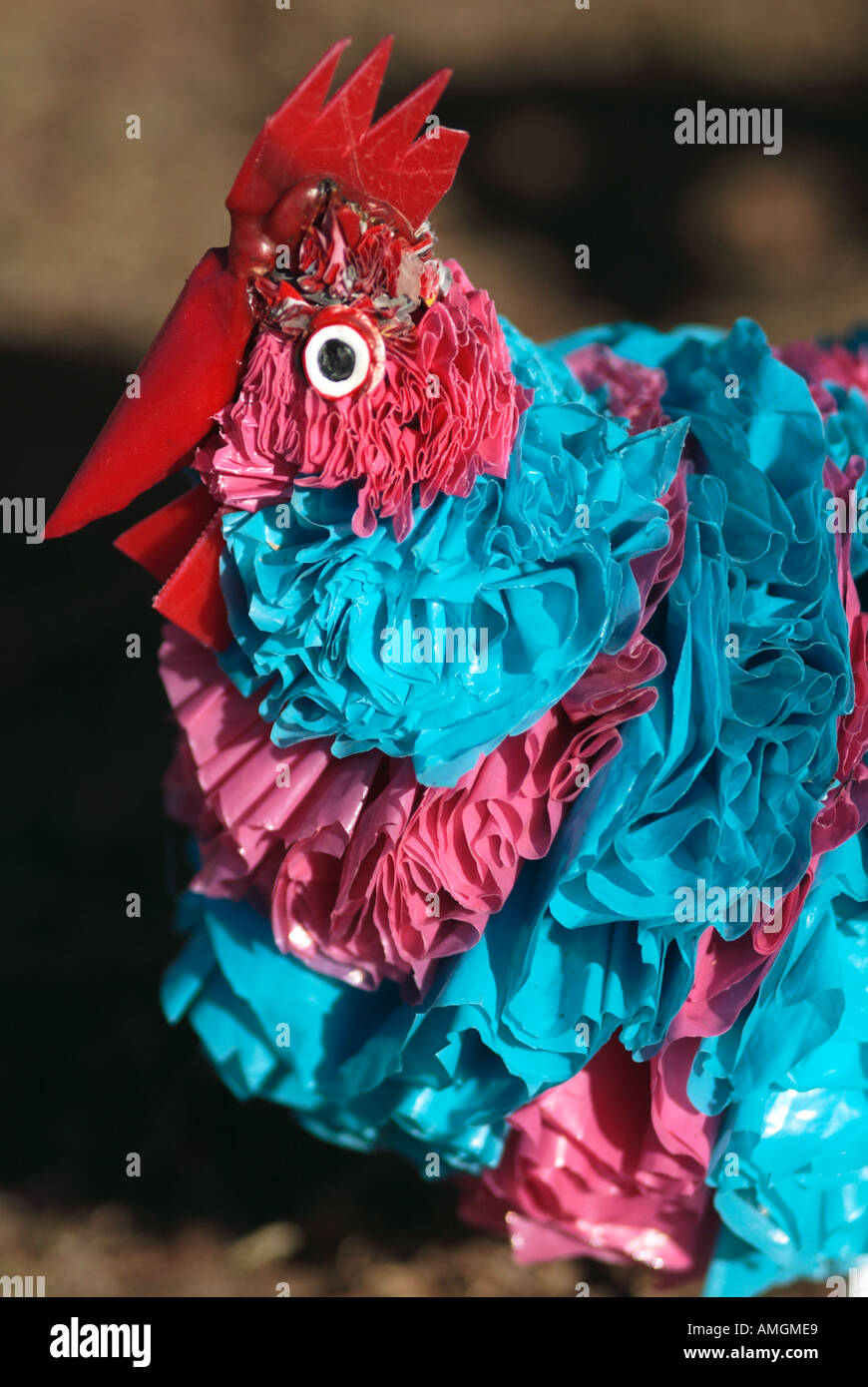 Plastic bag recycling chicken hi-res stock photography and images - Alamy