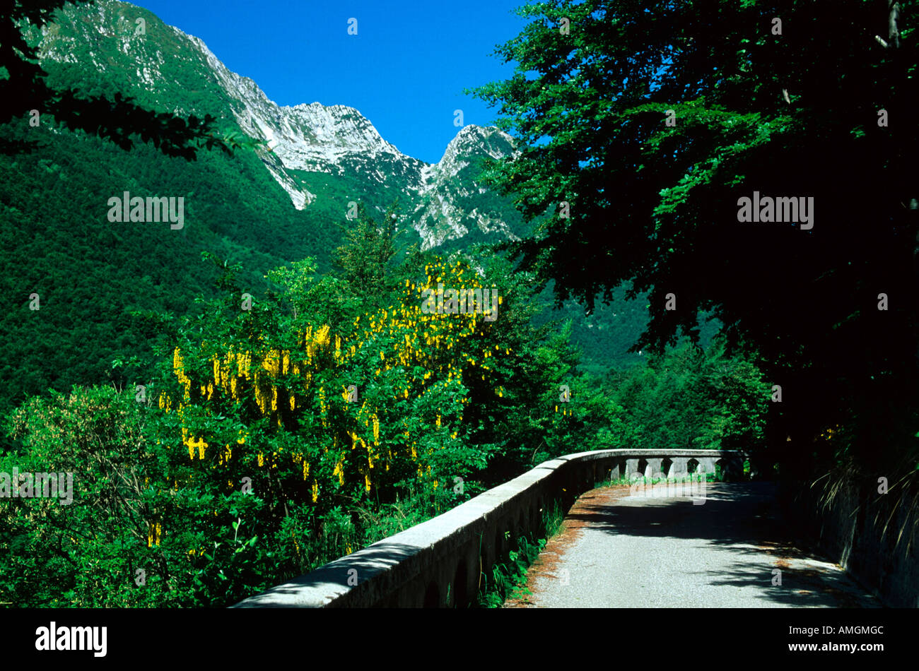 Valle resia hi-res stock photography and images - Alamy