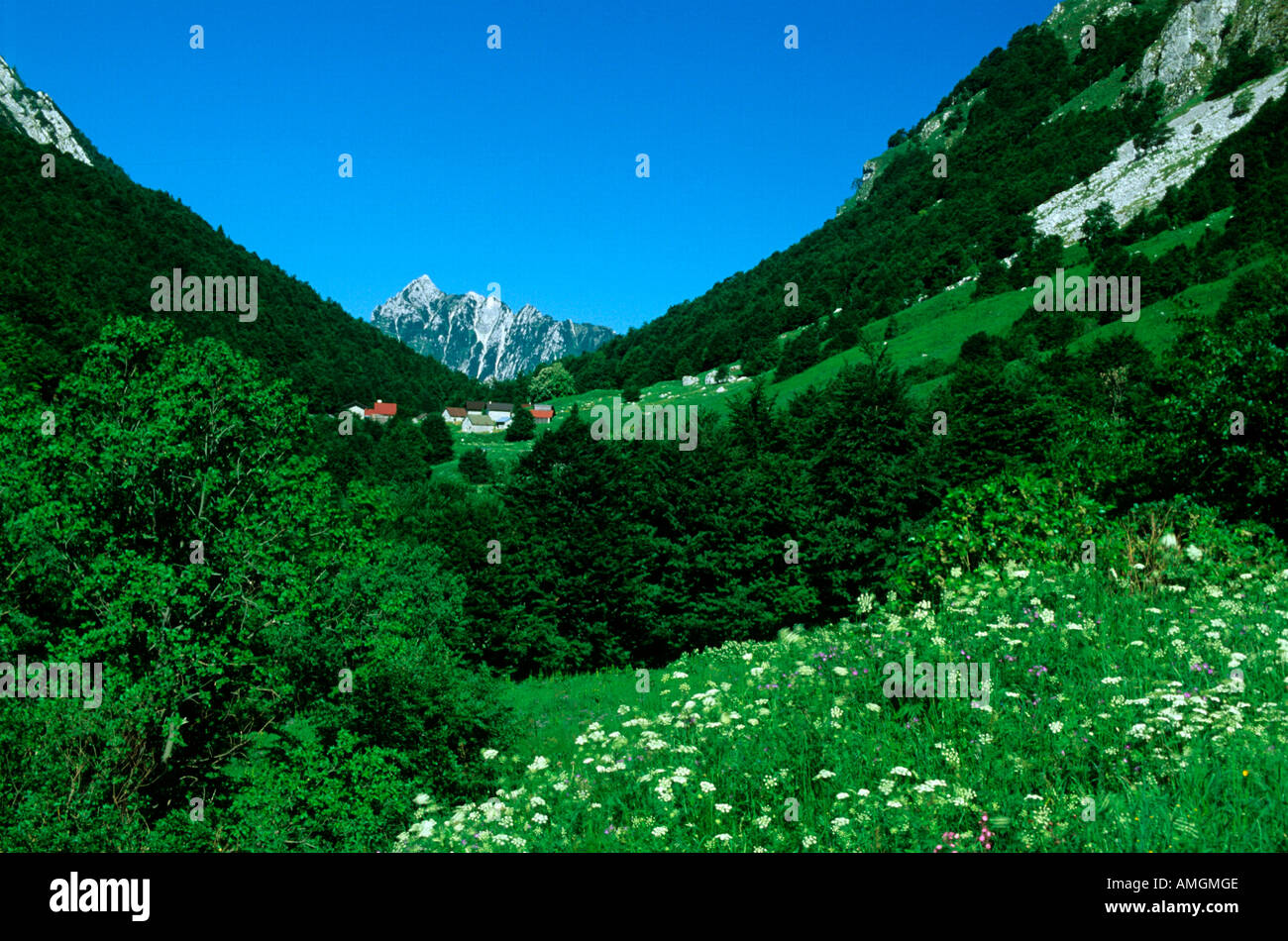 Italien, Veneto, Julisch Venetien, Friuli, Friaul, Valle Resia, Parco ...