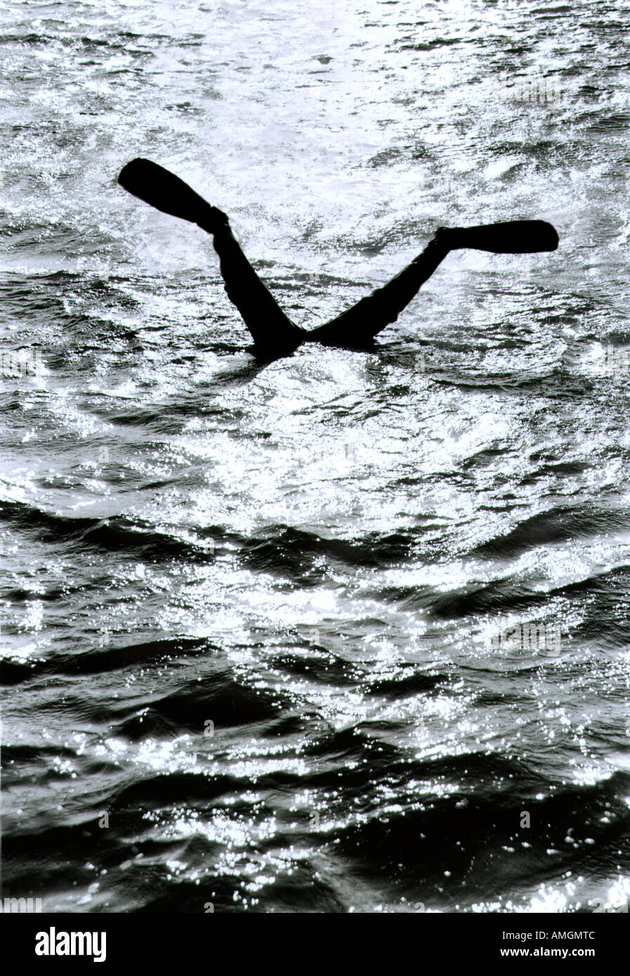 LEGS AND FLIPPERS OF SCUBA DIVER STICKING UPWARDS OUT OF WATER Stock ...