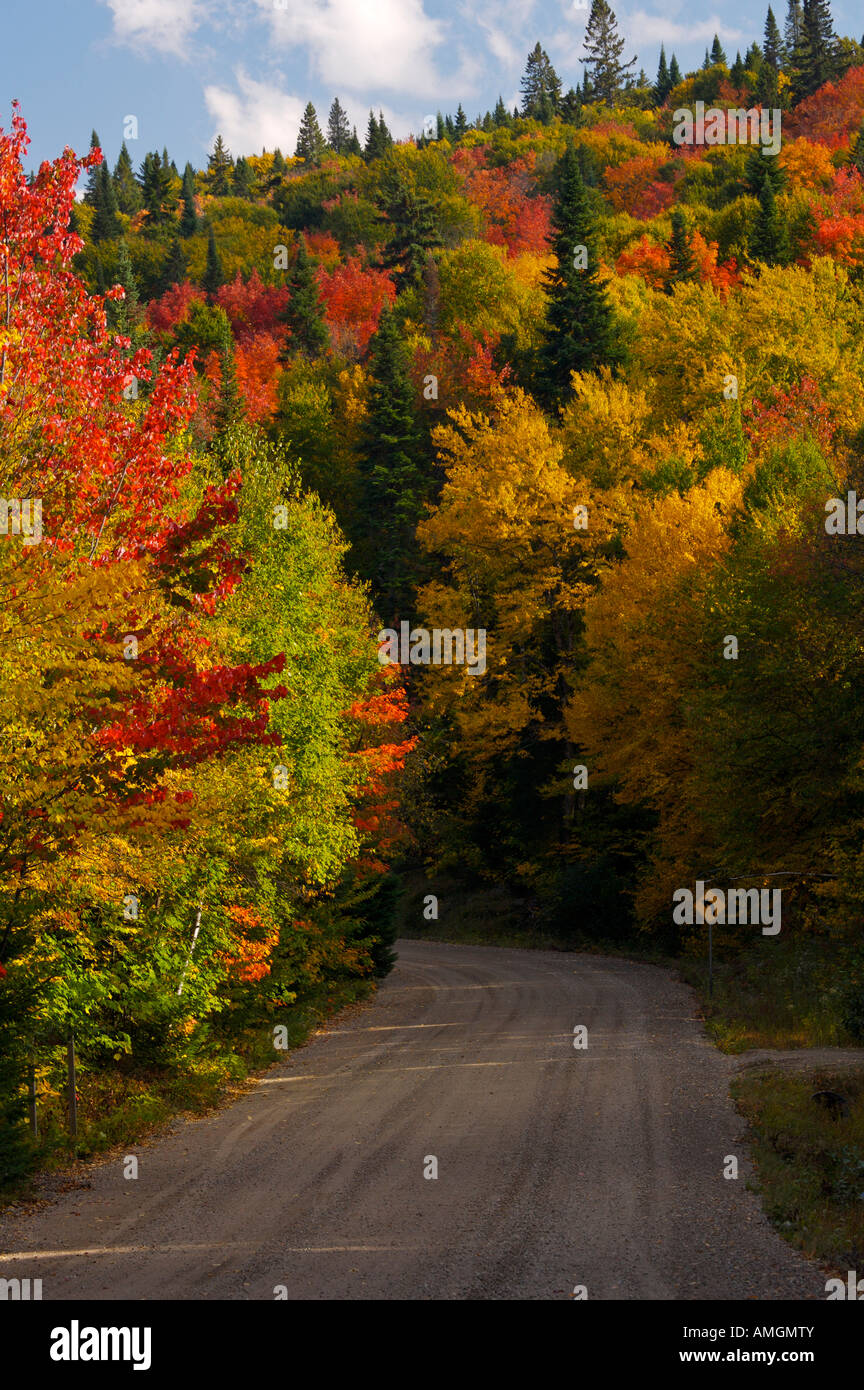 Fall Colours along Highway 2 through Parc national du Mont Tremblant, a ...