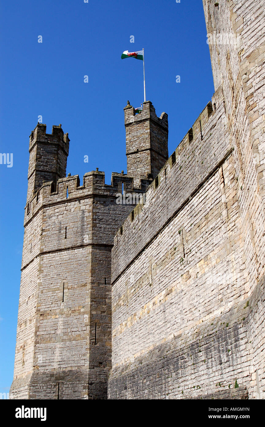 Carnarvon castle in wales hi-res stock photography and images - Alamy