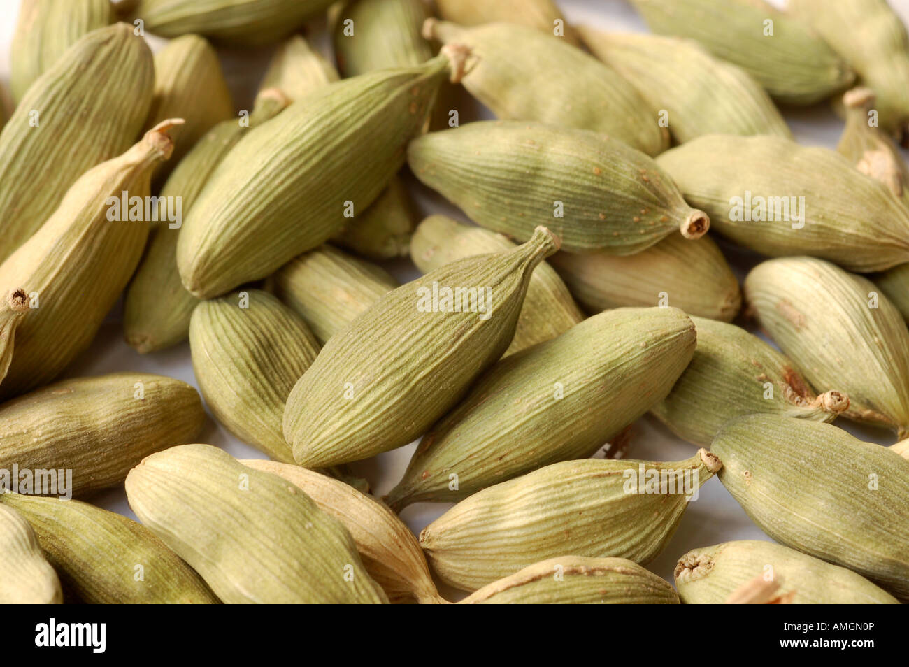 Cardemon pods hi-res stock photography and images - Alamy