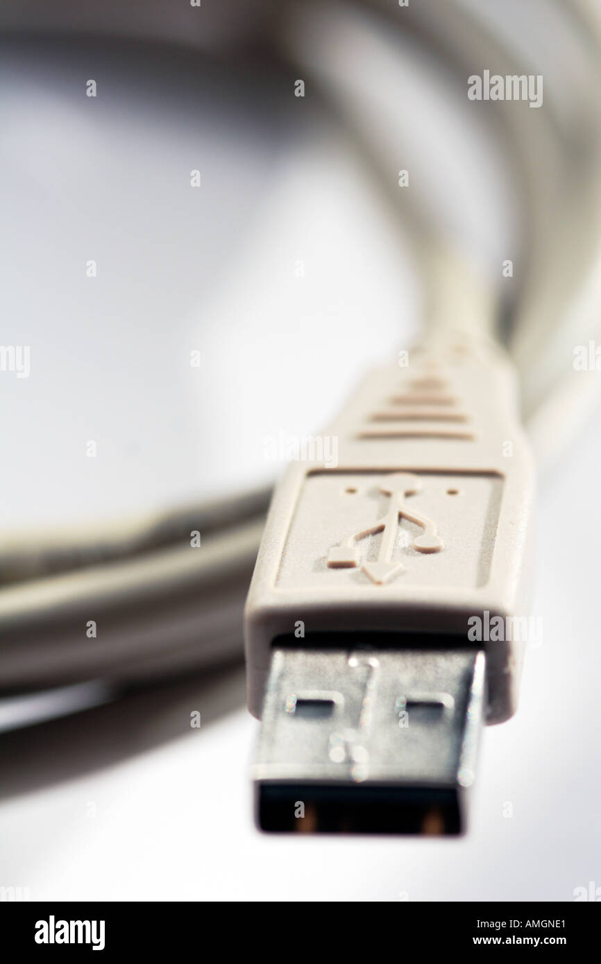 Close up of computer USB connector lead Stock Photo - Alamy