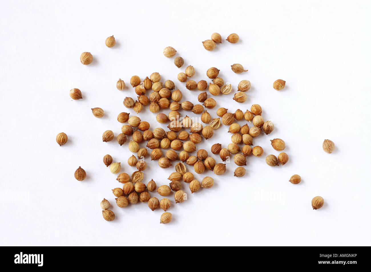 Seeds scattered hi-res stock photography and images - Alamy