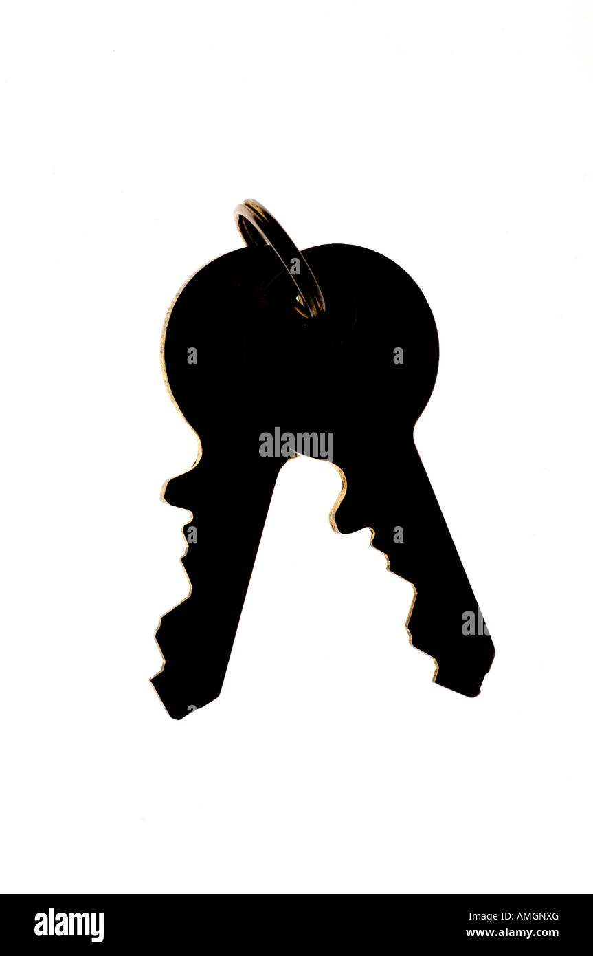 Two identical keys in keyring Stock Photo - Alamy