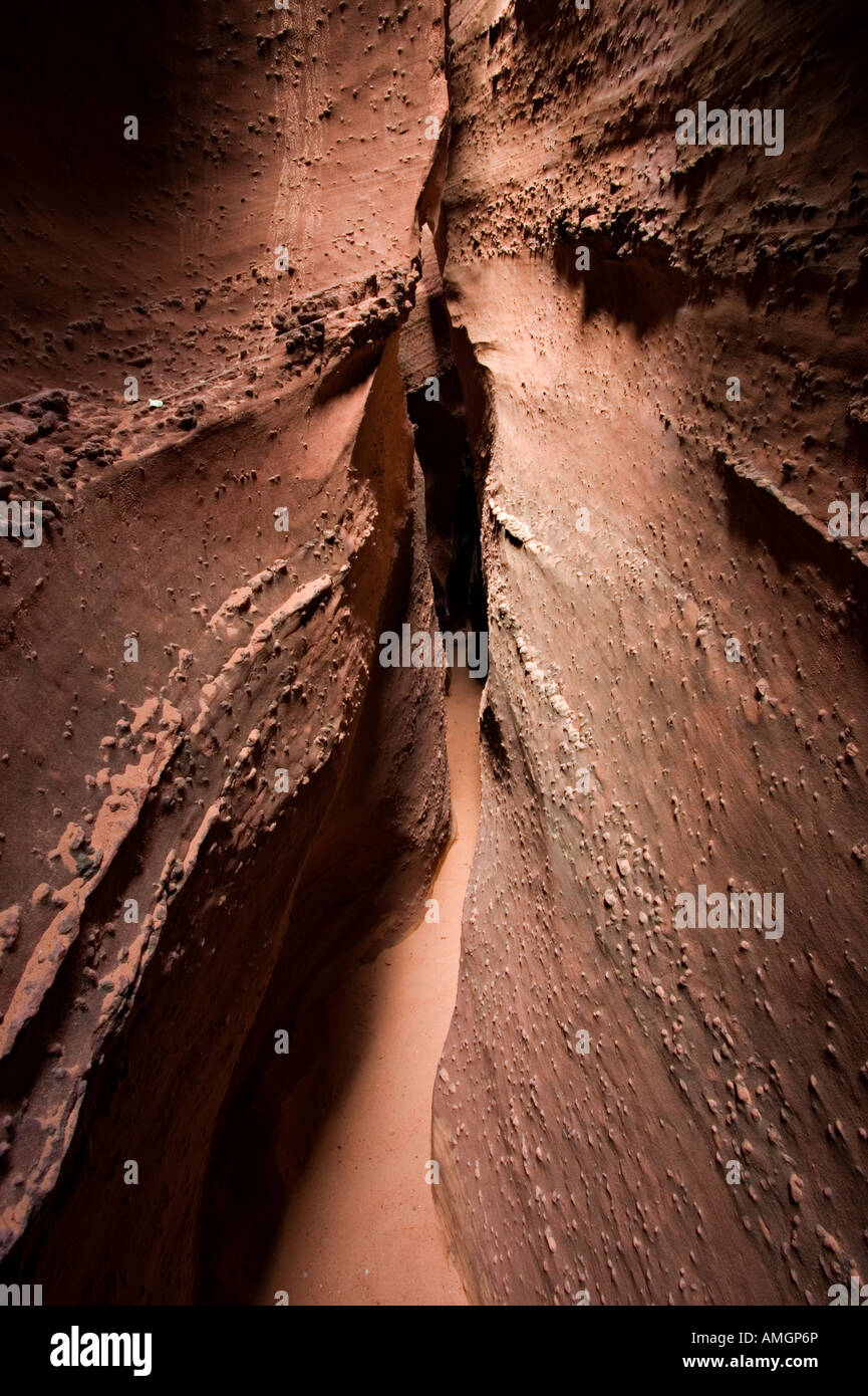 Dry fork of coyote gulch hi-res stock photography and images - Alamy