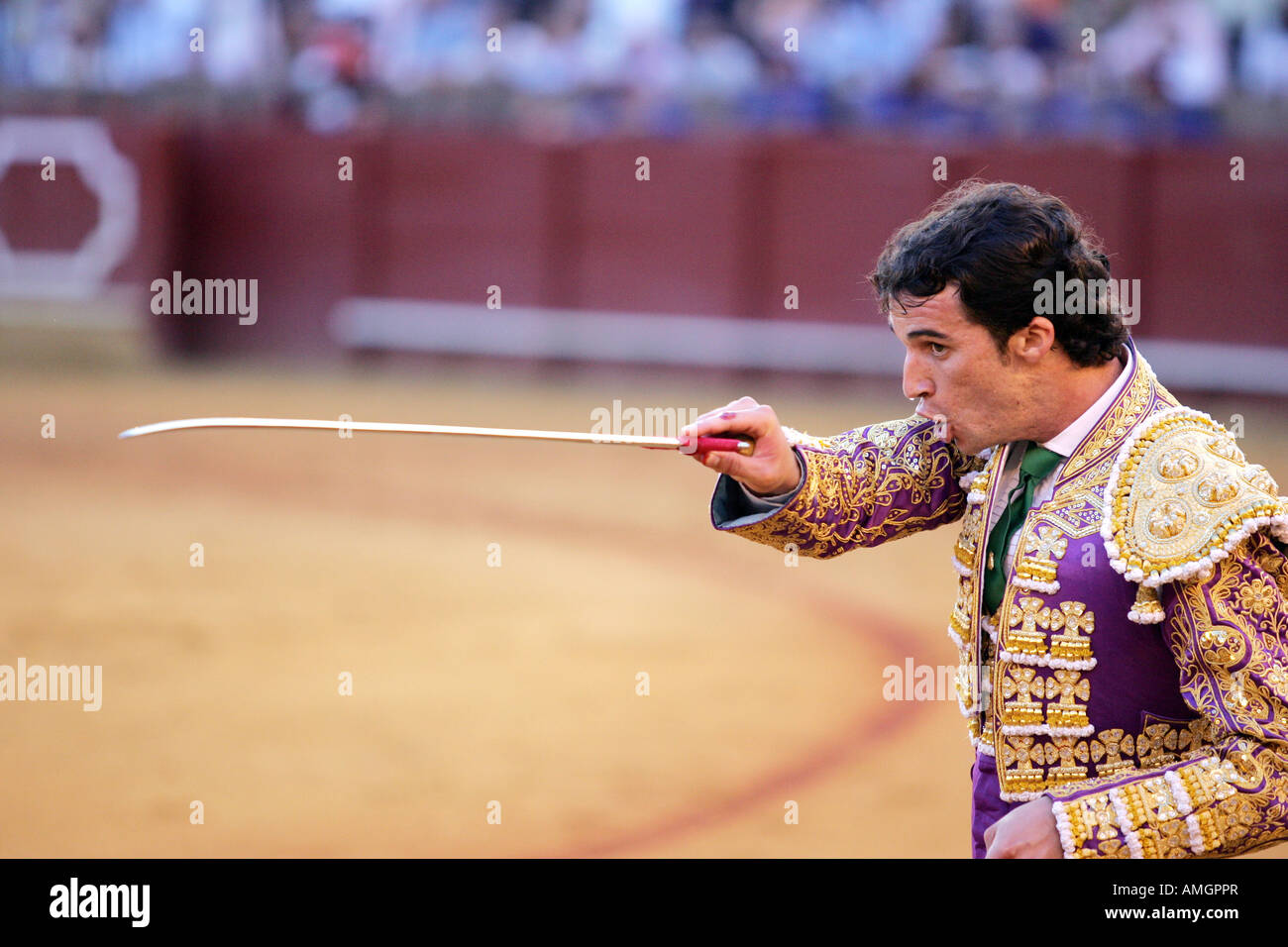 Bullfighter stab bull sword hi-res stock photography and images - Alamy
