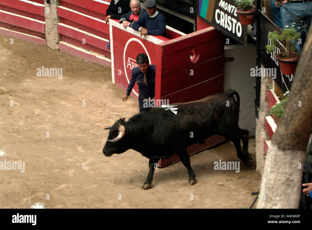 Bullfighting mexico city mexico hi-res stock photography and images - Alamy