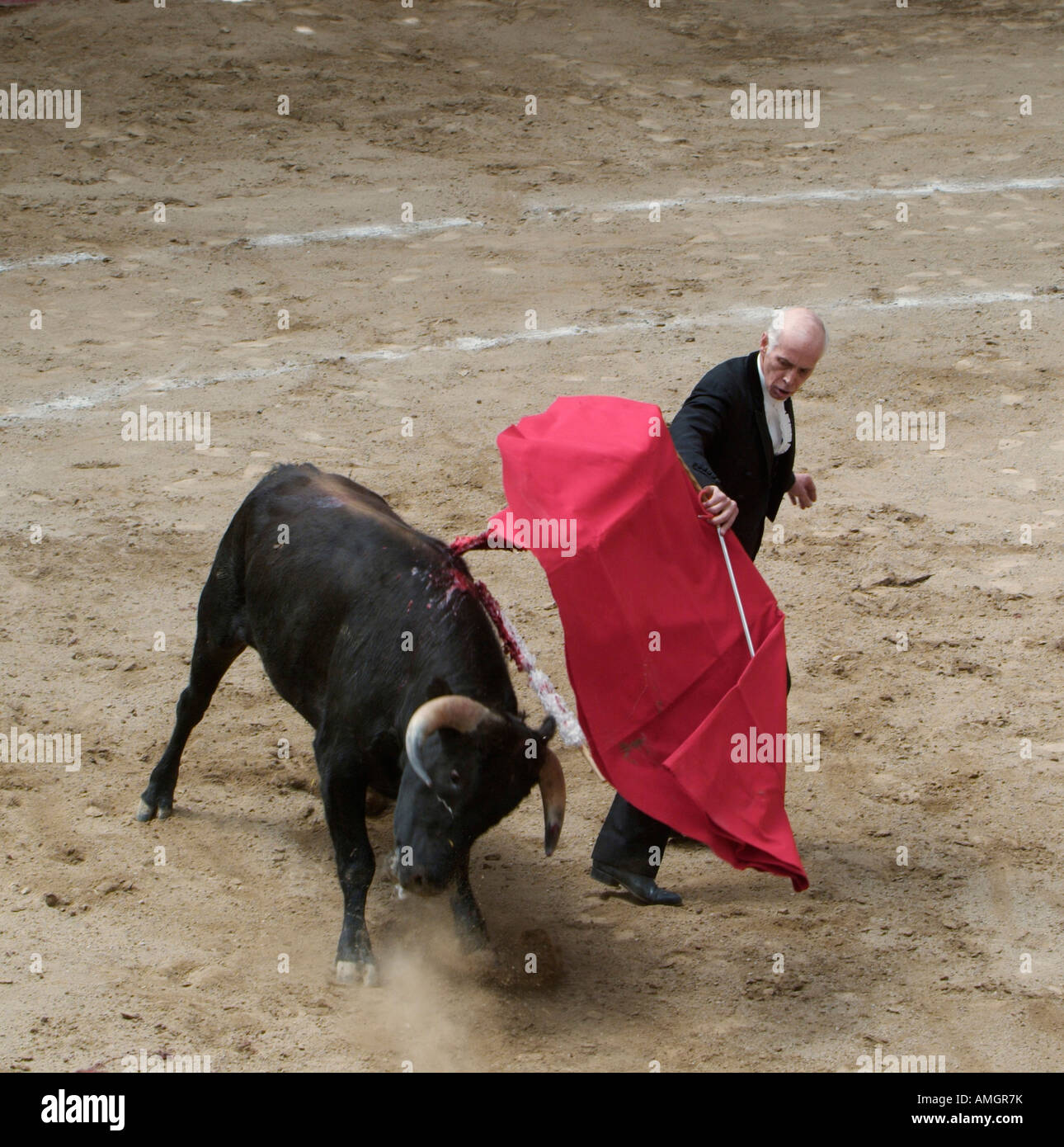 Mexico, Mexico City, Bullfighting at the Arroyo ring Stock Photo - Alamy