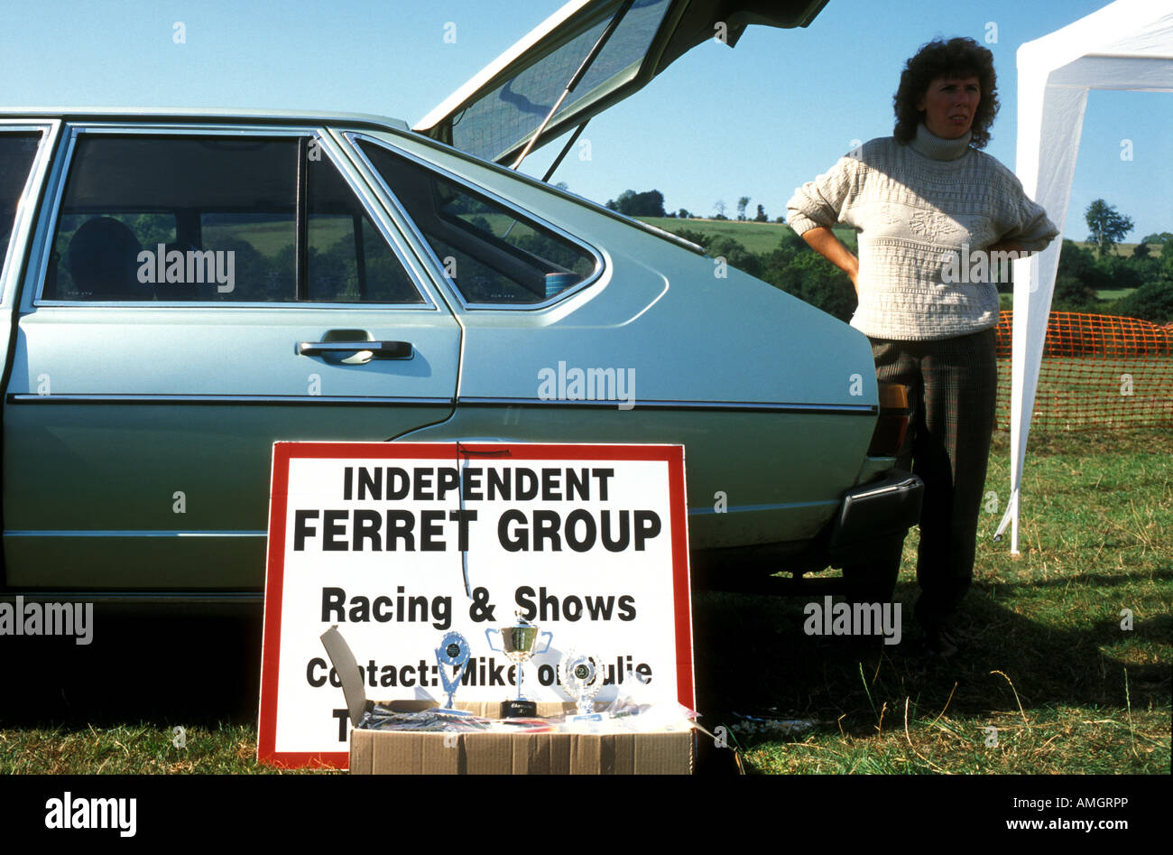 Ferrets racing hi-res stock photography and images - Alamy