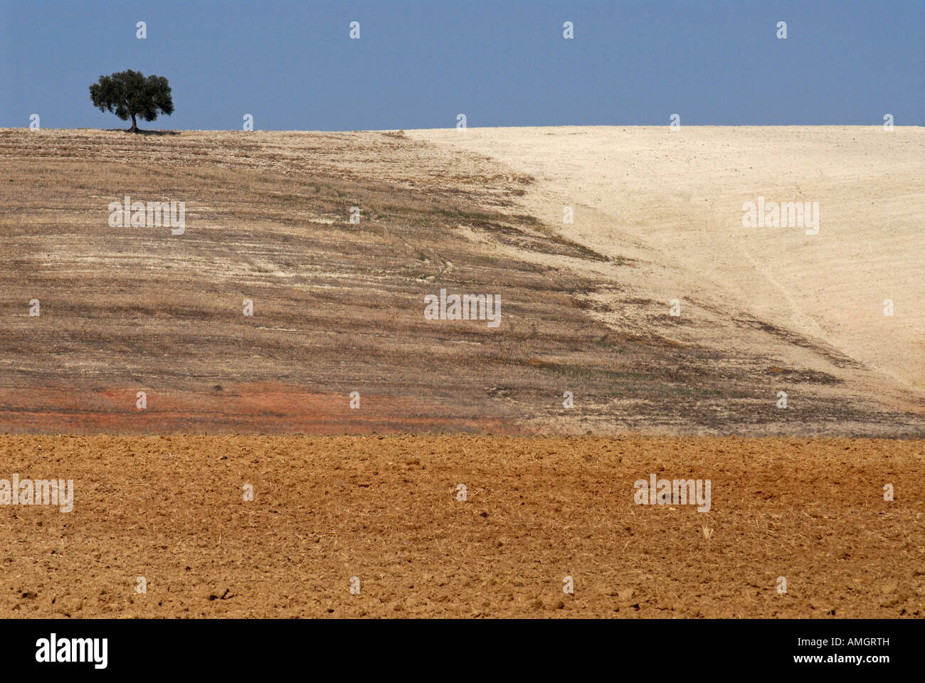 Typical spanish dry landscape hi-res stock photography and images - Alamy