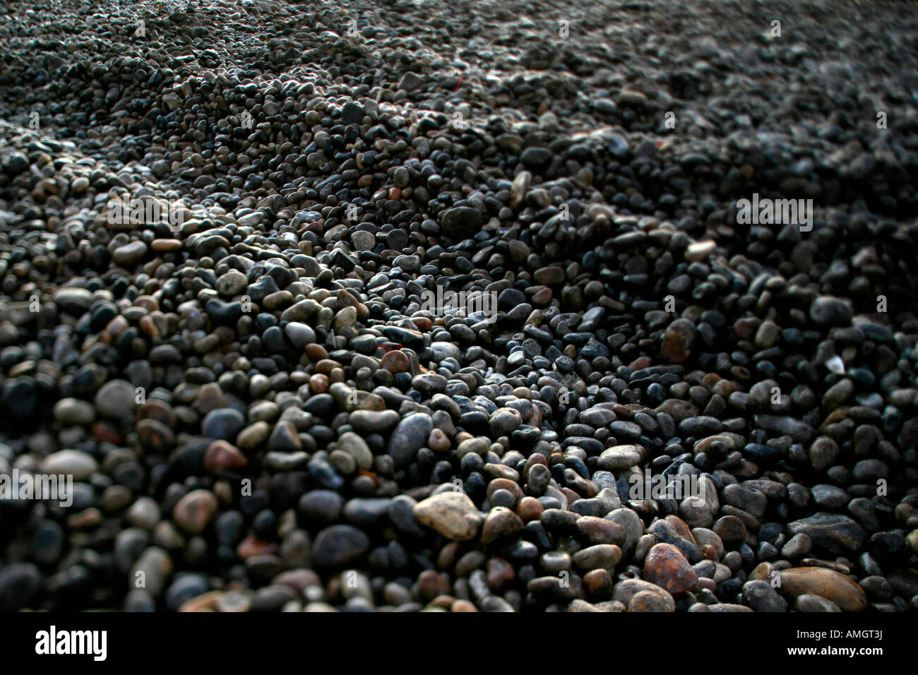 Tracks left in the pebbles on Beer Beach, East Devon after a ...