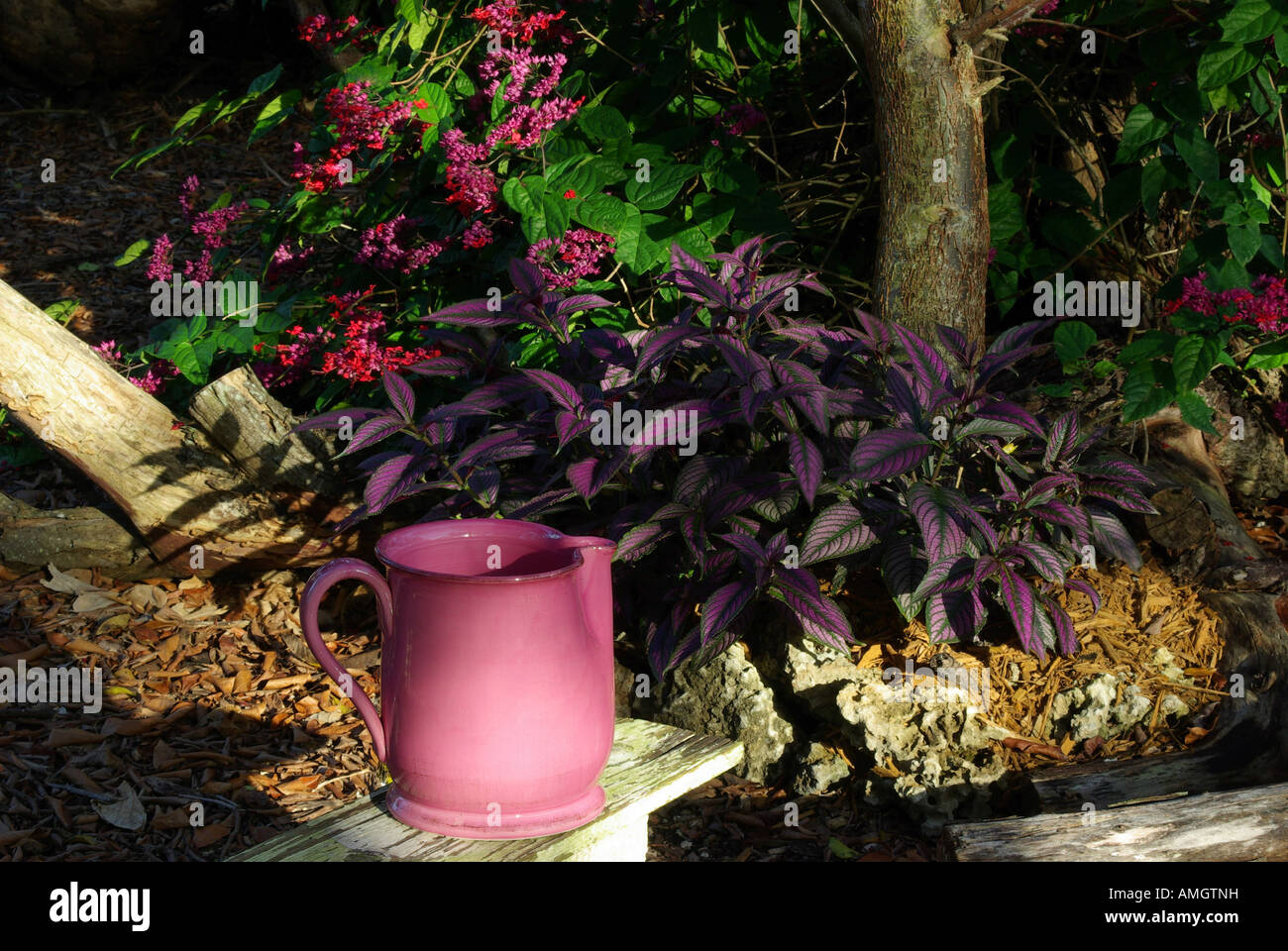 Water jug in garden Stock Photo - Alamy