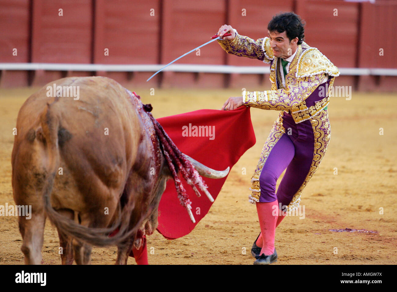 Sequence showing how a bullfighter performs the stabbing or estocada to ...
