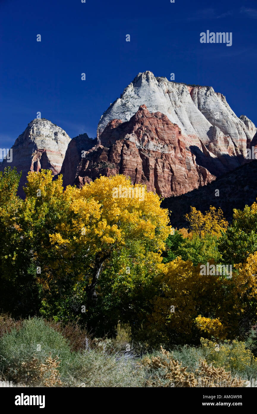 Fall colors in Zion national park Stock Photo - Alamy