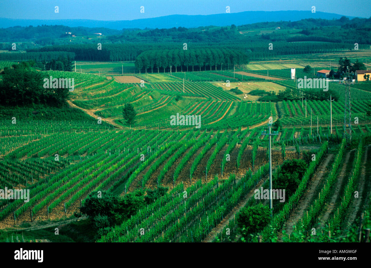 Italien, Veneto, Julisch Venetien, Friuli, Friaul, Collio ...