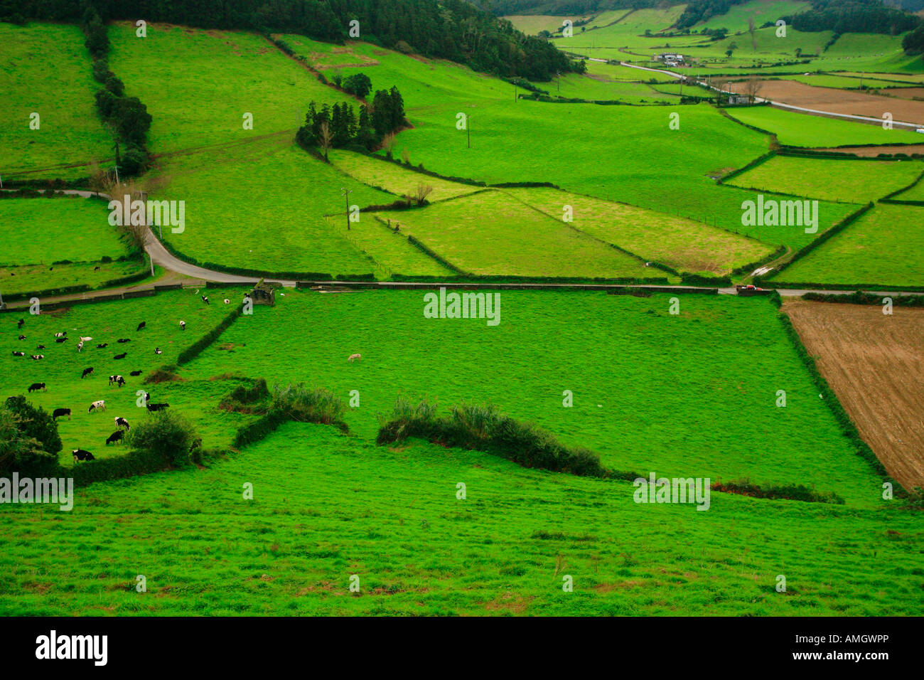 Land azoren hi-res stock photography and images - Alamy
