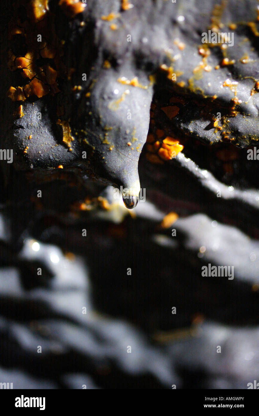 Inside Gruta do Carvao lava tube cave Sao Miguel island Azores islands ...