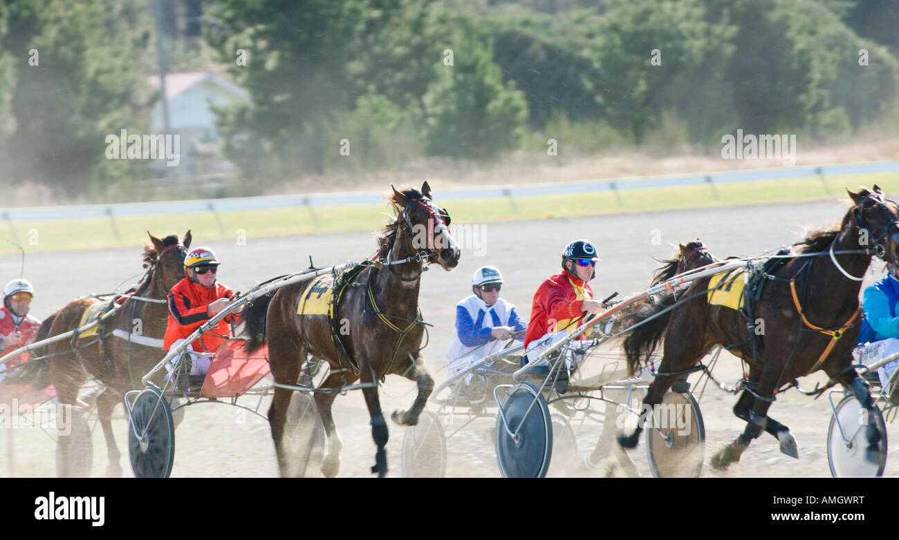 Sulky horse hi-res stock photography and images - Alamy