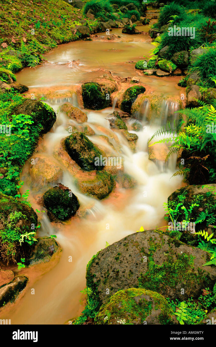 Stream of iron waters in Terra Nostra Park Furnas Sao Miguel island ...