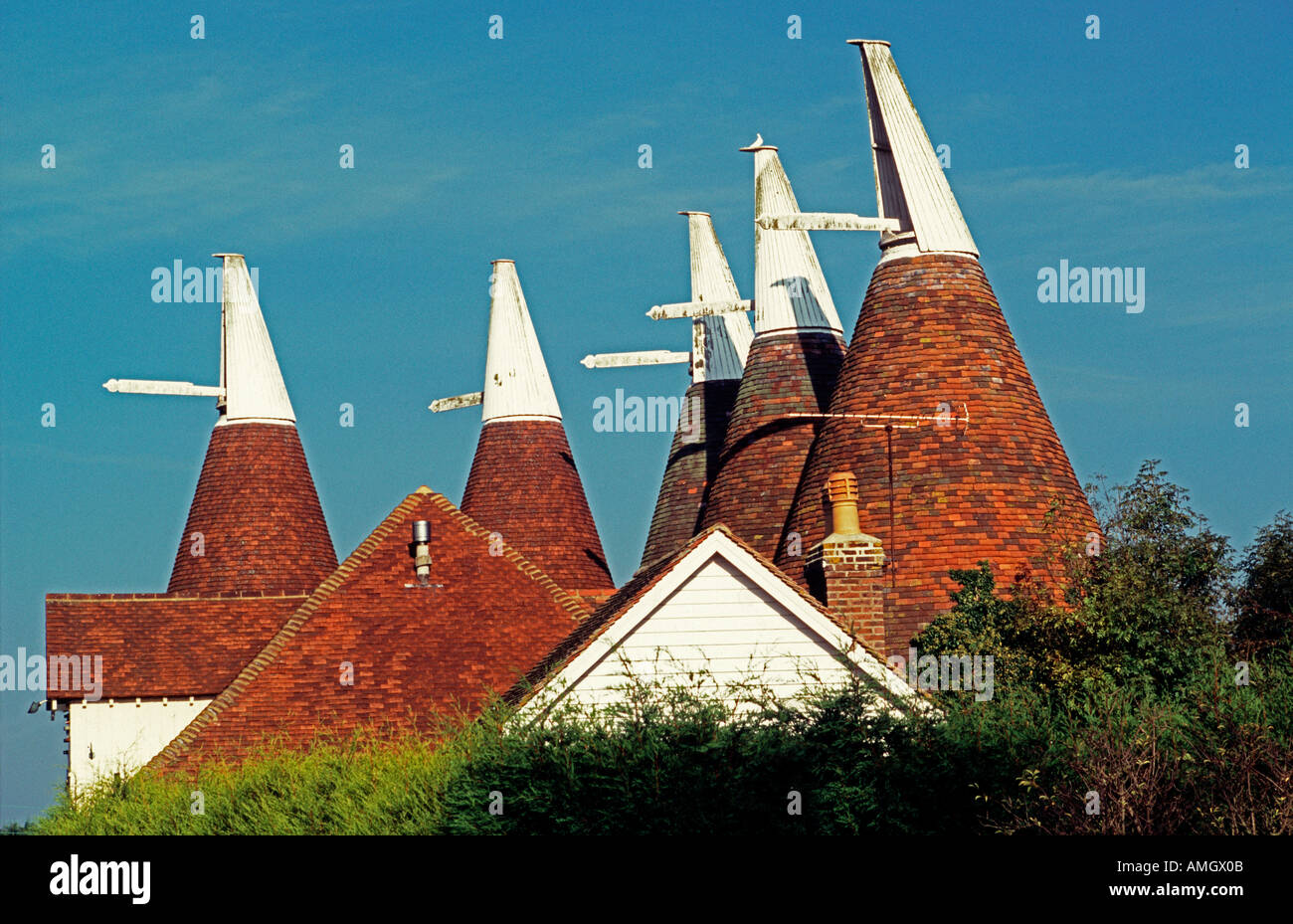 Oast houses Kent England UK Stock Photo - Alamy