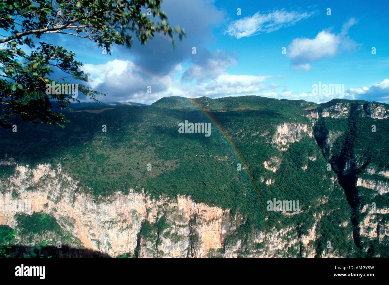 Mexico, Chiapas, Sumidero Canyon is a state symbol of Chiapas Stock ...
