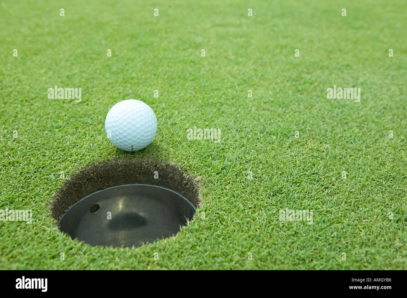 A golf ball in the golf field Stock Photo - Alamy