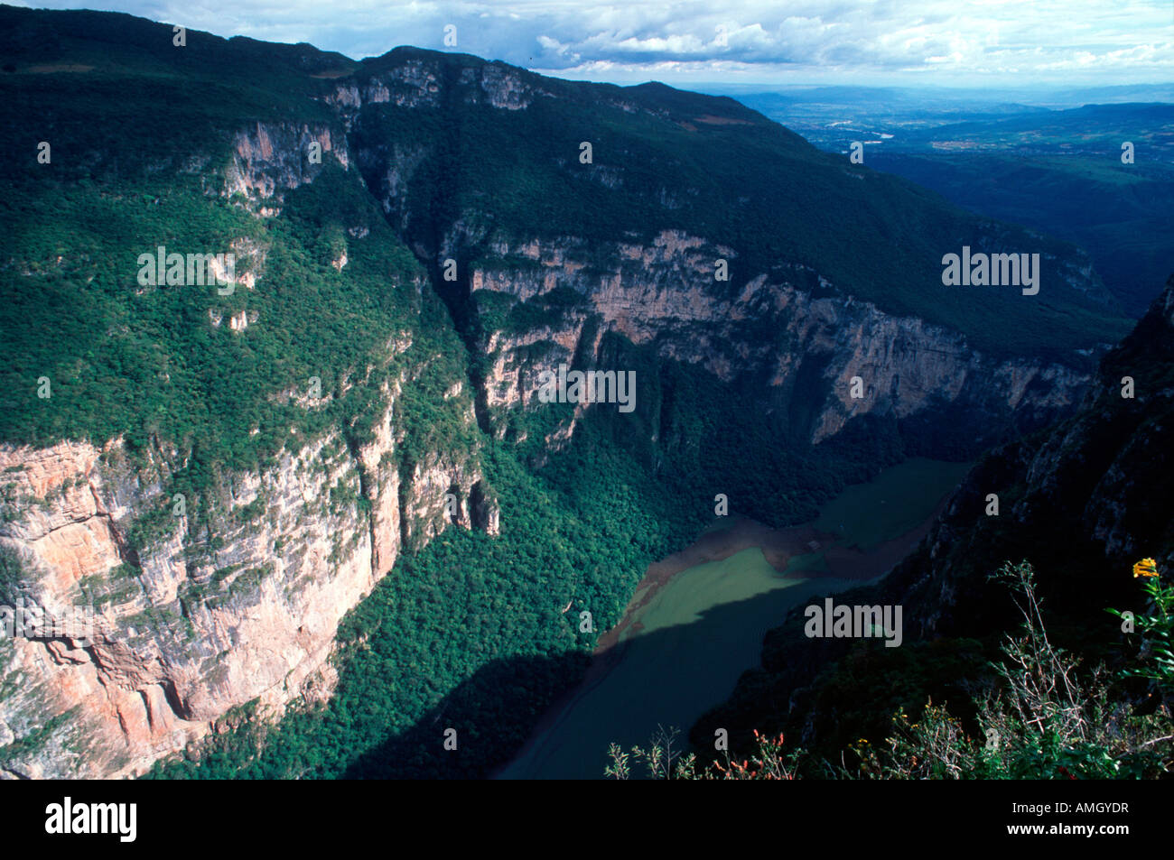 Mexico, Chiapas, Sumidero Canyon is a state symbol of Chiapas Stock ...