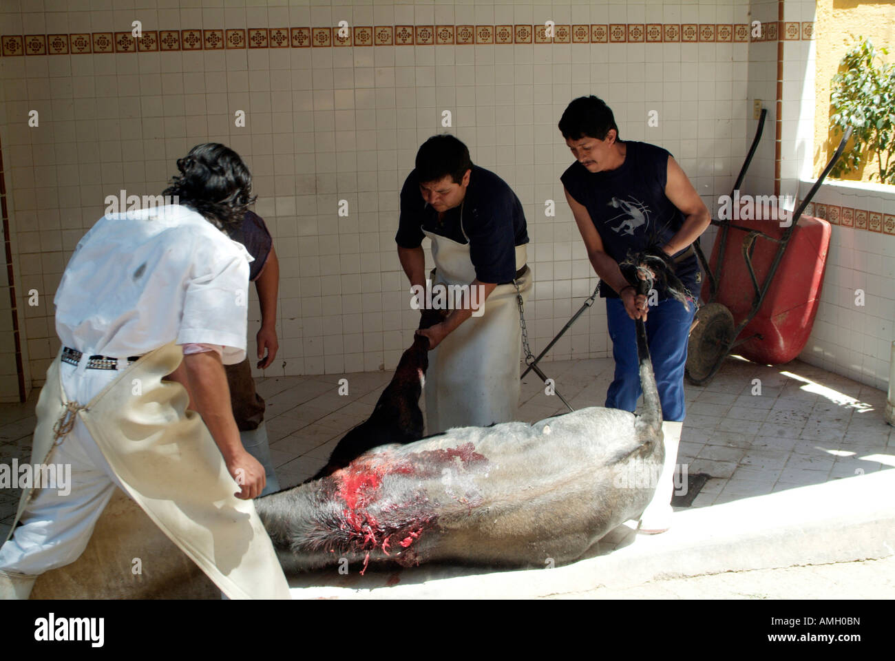 Dead bullfighters hi-res stock photography and images - Alamy