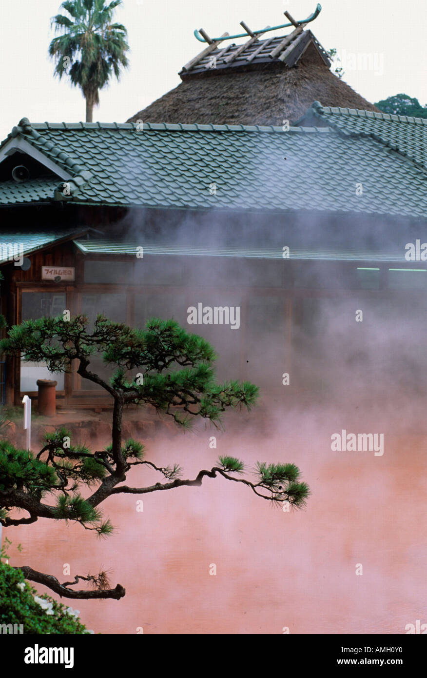 Chinoike hi-res stock photography and images - Alamy