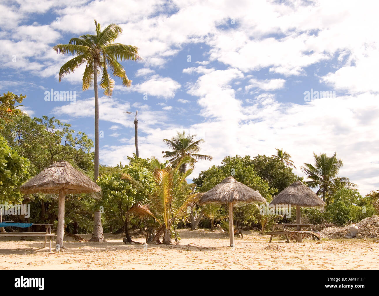 Plam trees line the beach on Malamala Island, Fiji Stock Photo - Alamy