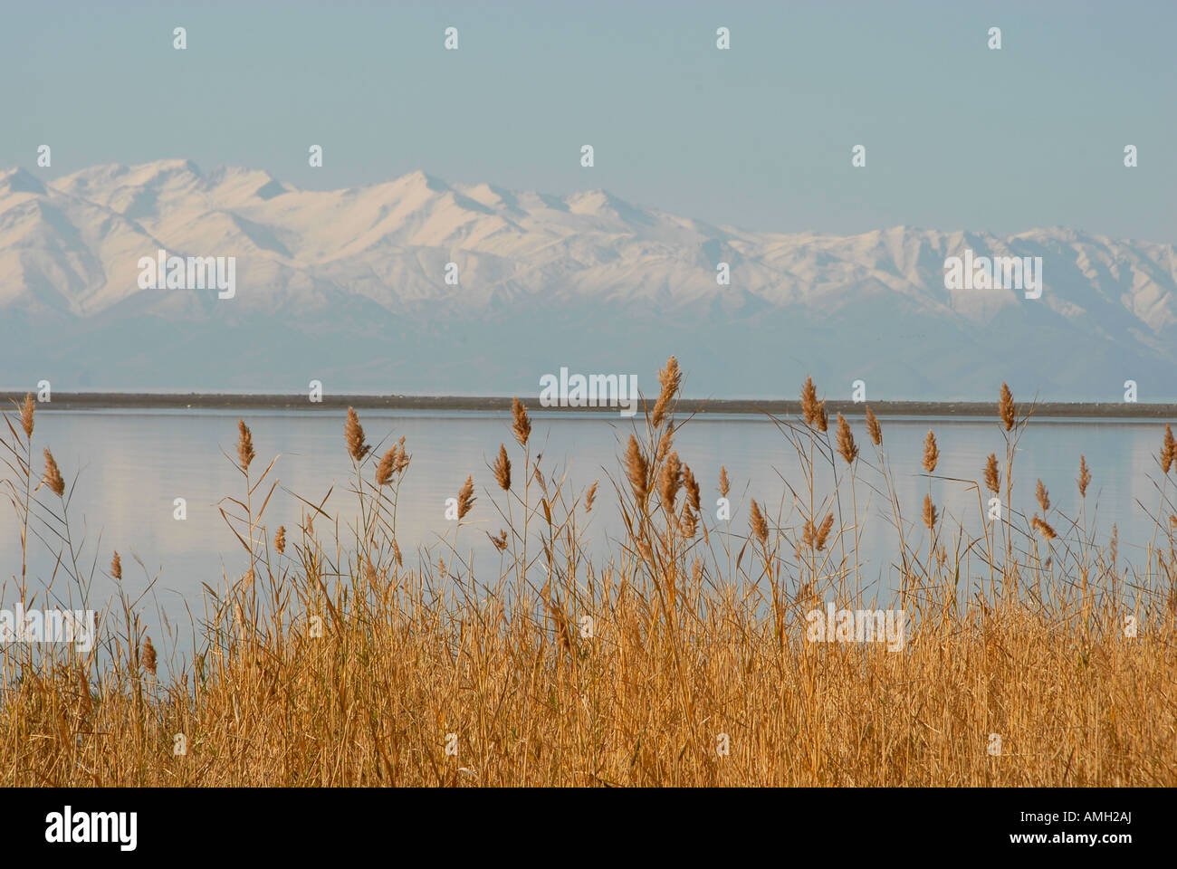 Lake van scenery with volcano Suphan Dagi in background, Van province ...