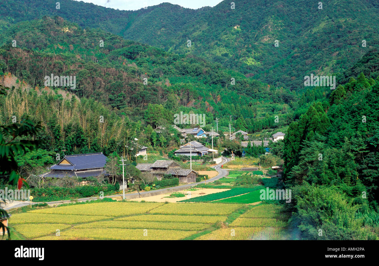 Japan, Kyushu, Amakusa-Halbinsel, Oe, Reisfelder Stock Photo - Alamy