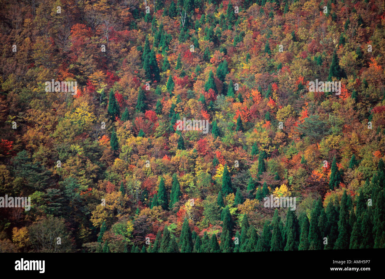 Oki High Resolution Stock Photography and Images - Alamy