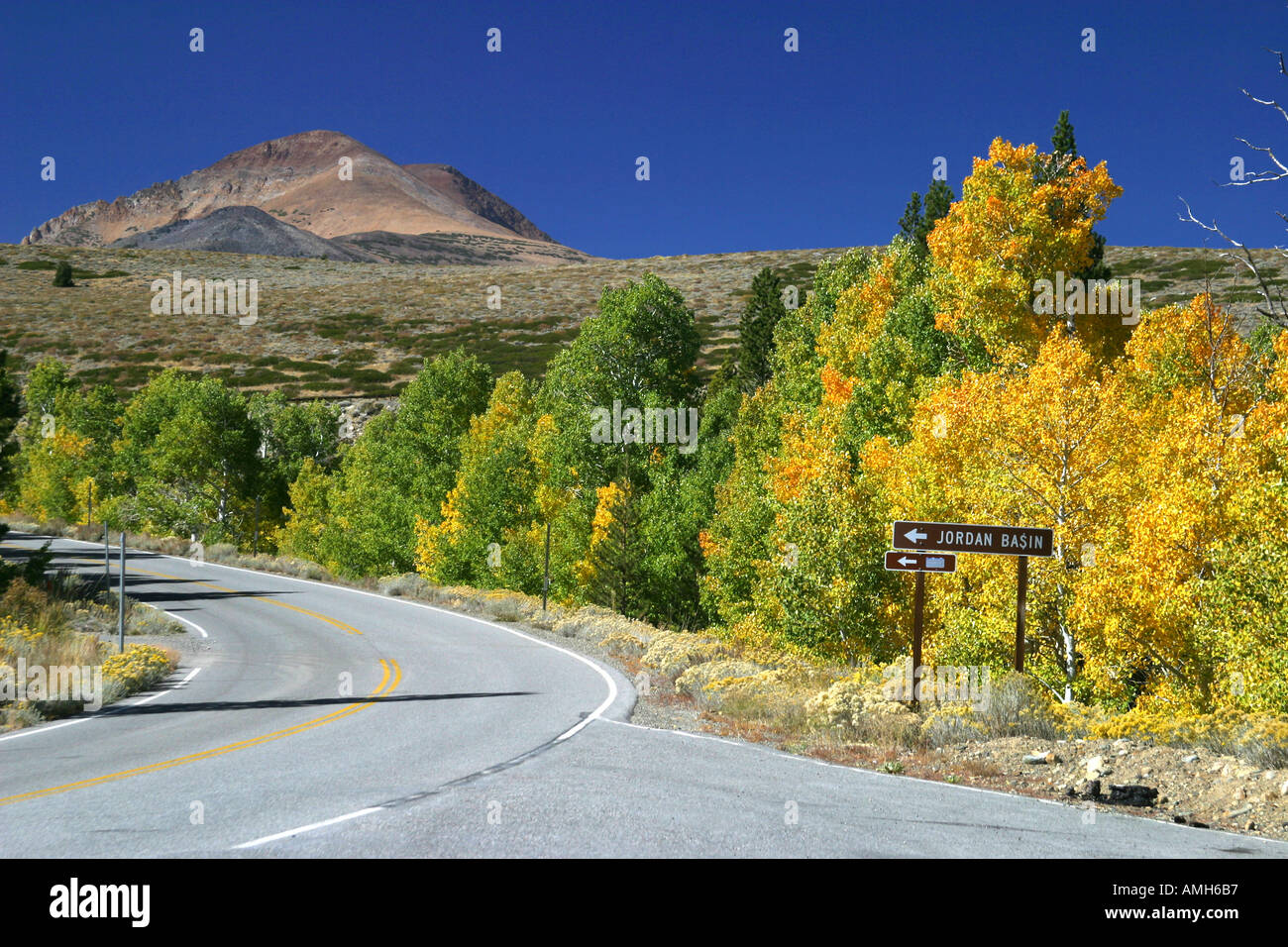 Aspens line the road in the Jordan Basin area of California s eastern ...