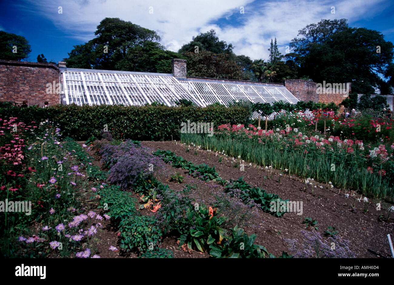 Glass house lost gardens heligan hi-res stock photography and images ...