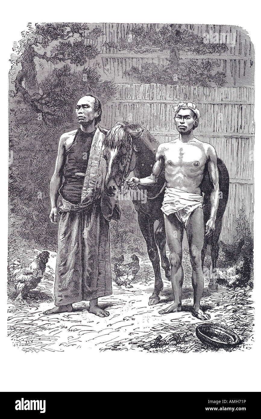 Horse stable drawing hi-res stock photography and images - Alamy